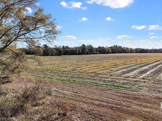US Highway 98 Lot 9, Elberta, AL 36530