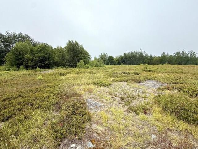 Us Lot A, Gouldsboro, Plot For Sale