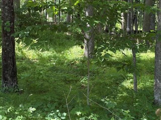 Us Route,cuddebackville, Plot For Sale
