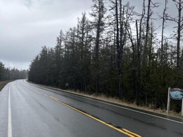 Us Route,danforth, Plot For Sale