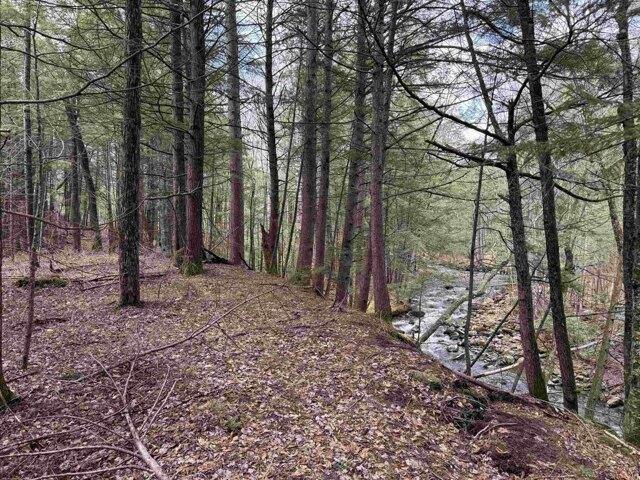 Us Route Lot,thornton, Plot For Sale