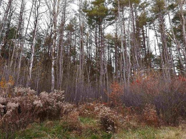 Us Route S, Norwich, Plot For Sale