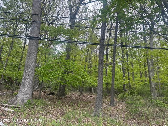 Us Rt 611 2, Swiftwater, PA 18370