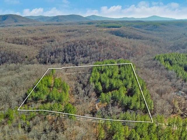 Us Rt # 27, Sunbright, TN 37872