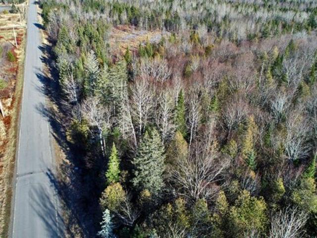 Us Rt A Rd Lot, Linneus, Plot For Sale