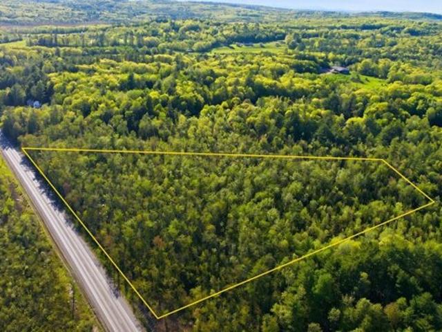Us Rte, Greene, Plot For Sale
