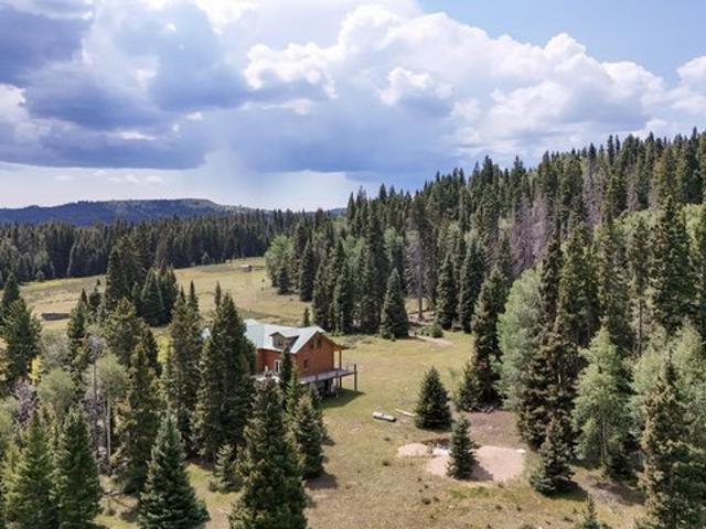 Usfs Rd # 93, Tres Piedras, NM 87577