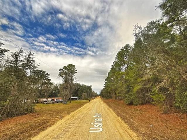 Usina Ave, Interlachen, FL 32148