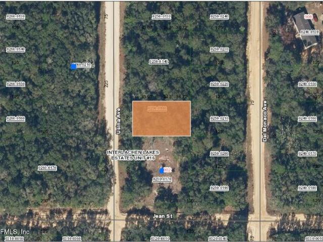 Usina Ave, Interlachen, FL 32148 | MLS #2079 | Compass
