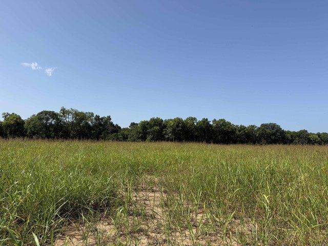 Up Riv Lot 31, Heber Springs, AR 72543