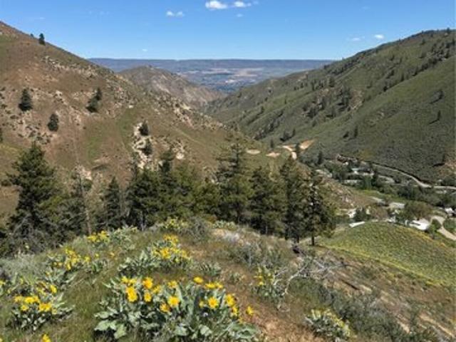 Uphill Ln Lot 2, Wenatchee, WA 98801