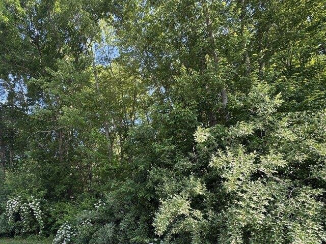 Upland Ave, Webster, Plot For Sale