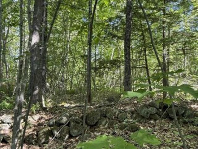Upper Bay Rd, Sanbornton, Plot For Sale