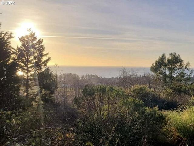 Upper Benham, Brookings, OR 97415 | MLS #100481