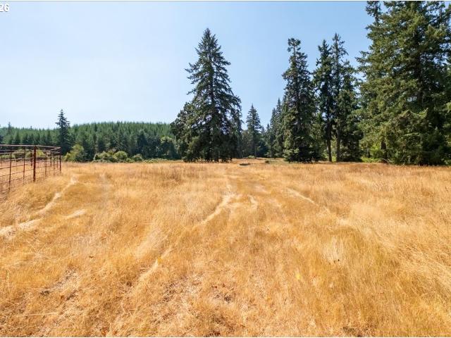 Upper Calapooia Dr