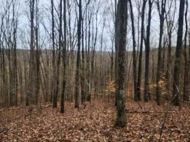 Upper Concord Rd, Ten Mile, TN 37880