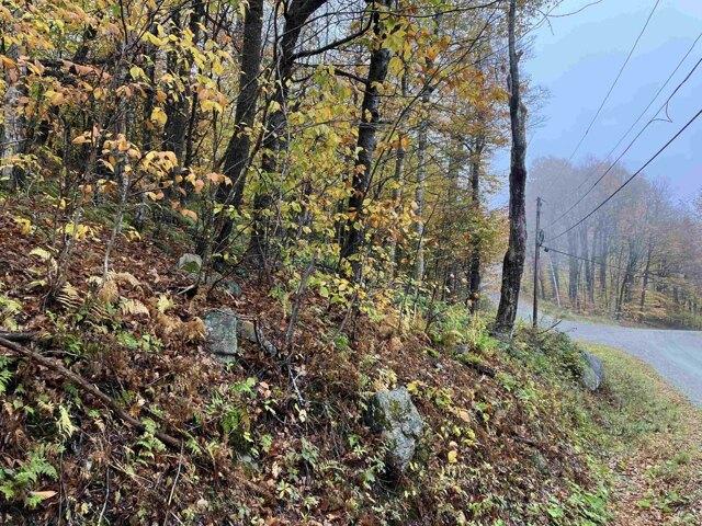 Upper Dam Rd Lot M And M, Wilmington, Plot For Sale