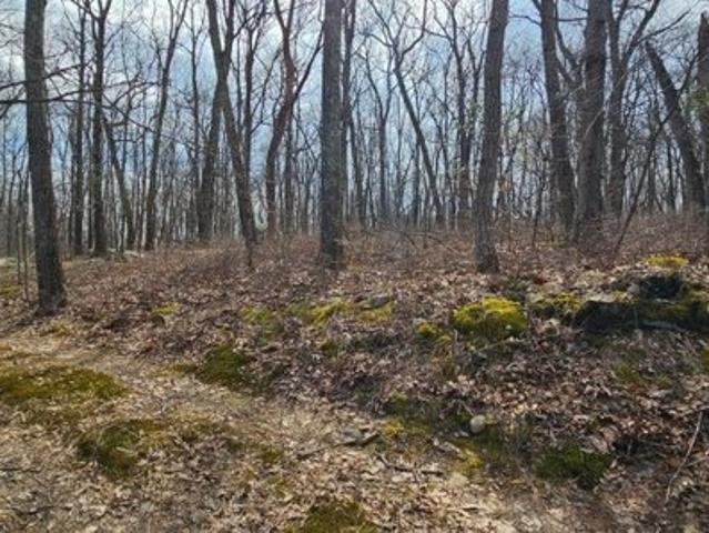 Upper Hibernia Rd, Rockaway, NJ 07866