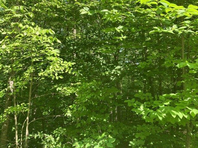 Upper Howes Way Lot Cha, Wilmington, Plot For Sale
