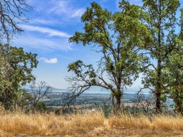 Upper Lake CA 95485 90564305