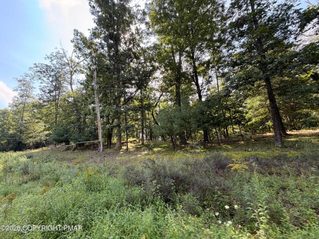Upper Lakeview Dr Drive, East Stroudsburg, PA 18302