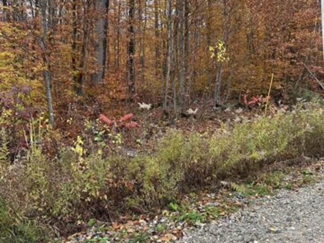 Upper Notch Rd, Bristol, Plot For Sale
