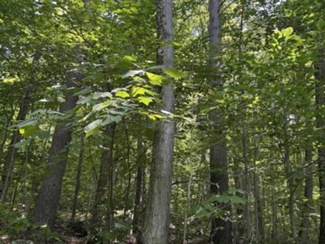 Upper Plains Rd, Salisbury, Plot For Sale