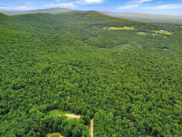 Upper Pratt Pond Rd, New Ipswich, Plot For Sale