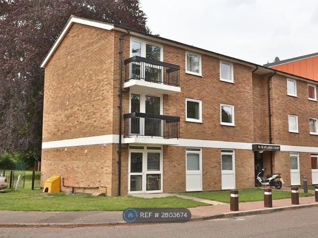 Upton Road, Norwich NR4, Room to rent, £350 pcm | PrimeLocation