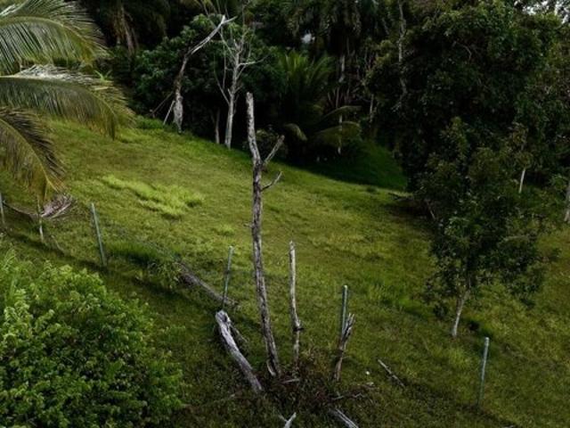 Urb Colinas De Cerro Gordo Calle Solar #,bayamon, Plot For Sale