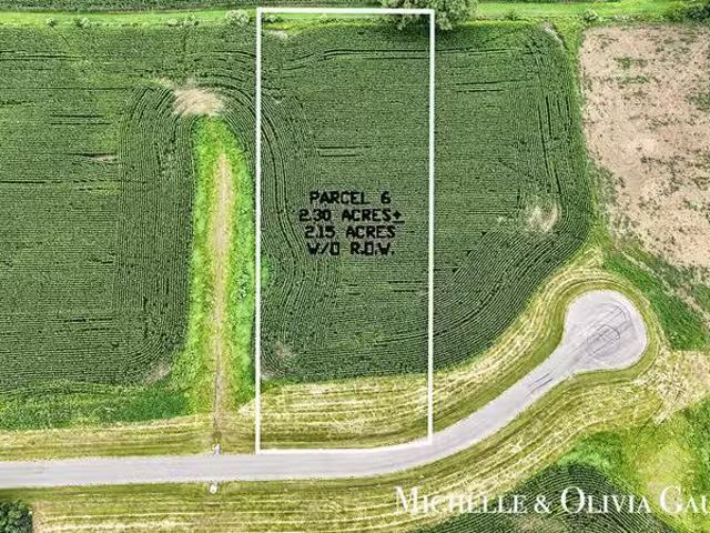 v L GIBSON FARMS DRIVE # PARCEL 6, MIDDLEVILLE, MI 49333 Vacan.