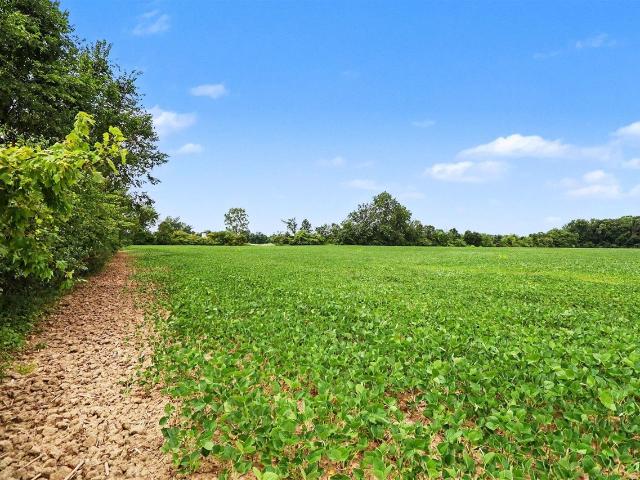 V.L. Willis Road