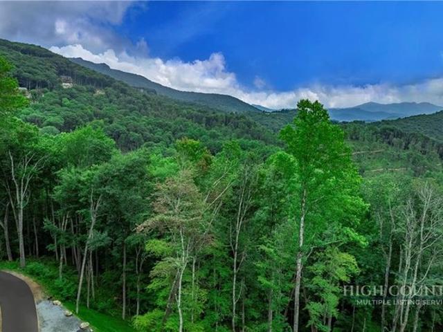 V 66 Featherstone Trce, Banner Elk, NC 28604
