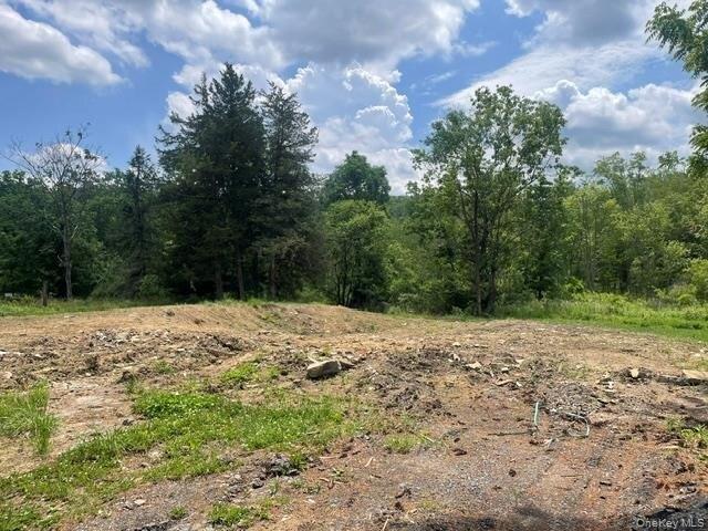 Van Burenville Rd, Middletown, Plot For Sale