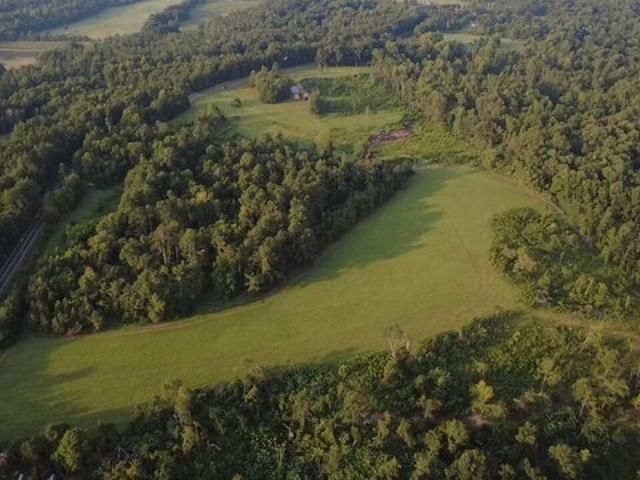 Van Buren Lot 1, Saulsbury, TN 38067