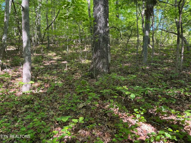 Van Davis Rd, Georgetown, TN 37336