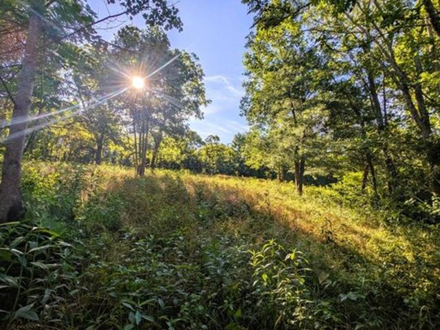 Van Fossan Rd, Jackson, OH 45640
