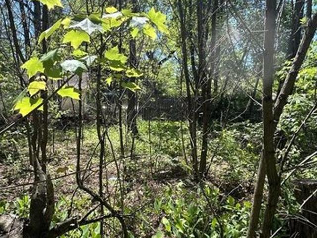 Van St, Mills Township, MI 48756