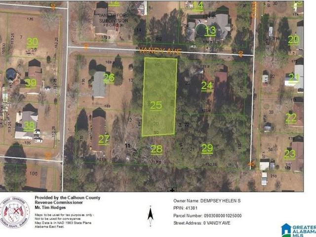 Vandy Ave Lot 20, Piedmont, AL 36272