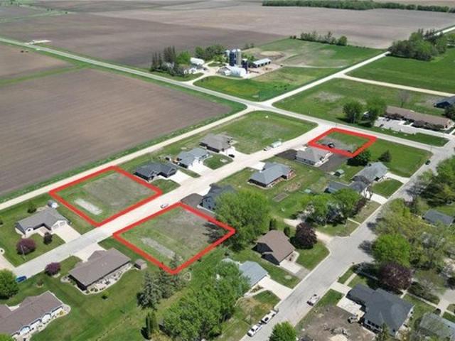 Vangsness, Adams, MN 55909