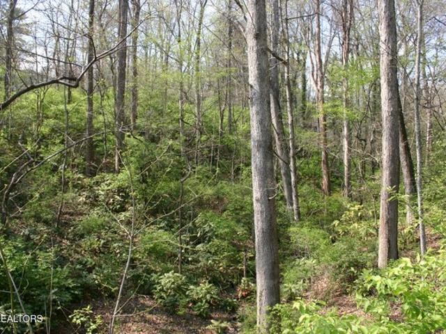 Vanhorn Rd Lot 12, Knoxville, TN 37918