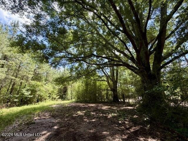 Vaniel Holmes Rd, Tylertown, MS 39667