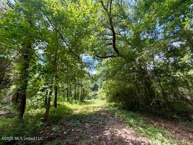 Vaniel Holmes Road, Tylertown, MS 39667