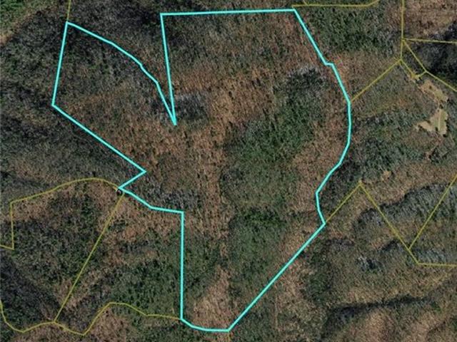 Vannoy Rd, McGrady, NC 28649