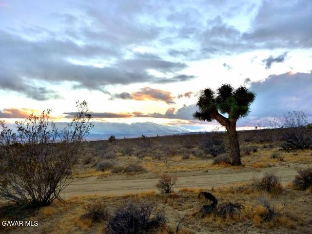 Vac Vic 145th St E, Rosamond, CA 93560 | Compass