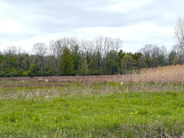 Vacant Hessen Road
