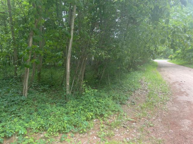 Vacant Lot Miami Avenue, Bloomingdale, MI 49026 | MLS #23024 | Compass