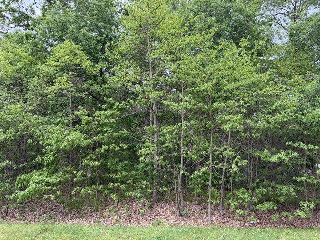 Vacant Lot 565E, Demotte, IN 46310