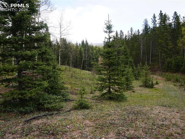 Vacant Land, Cripple Creek, CO 80813 | MLS #1822