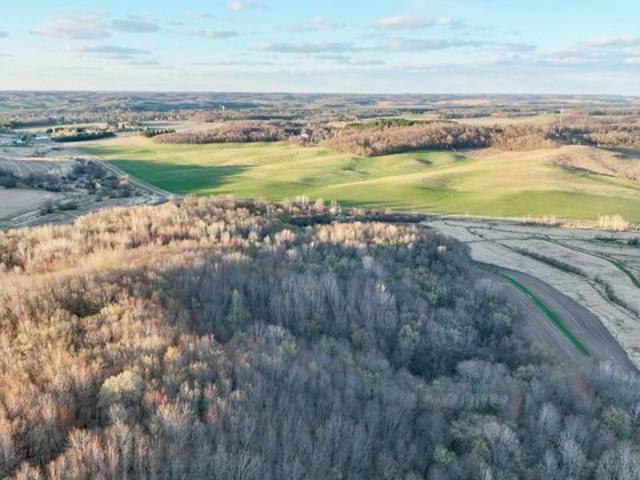 Vacant Land Moe Valley Rd, Strum, WI 54770